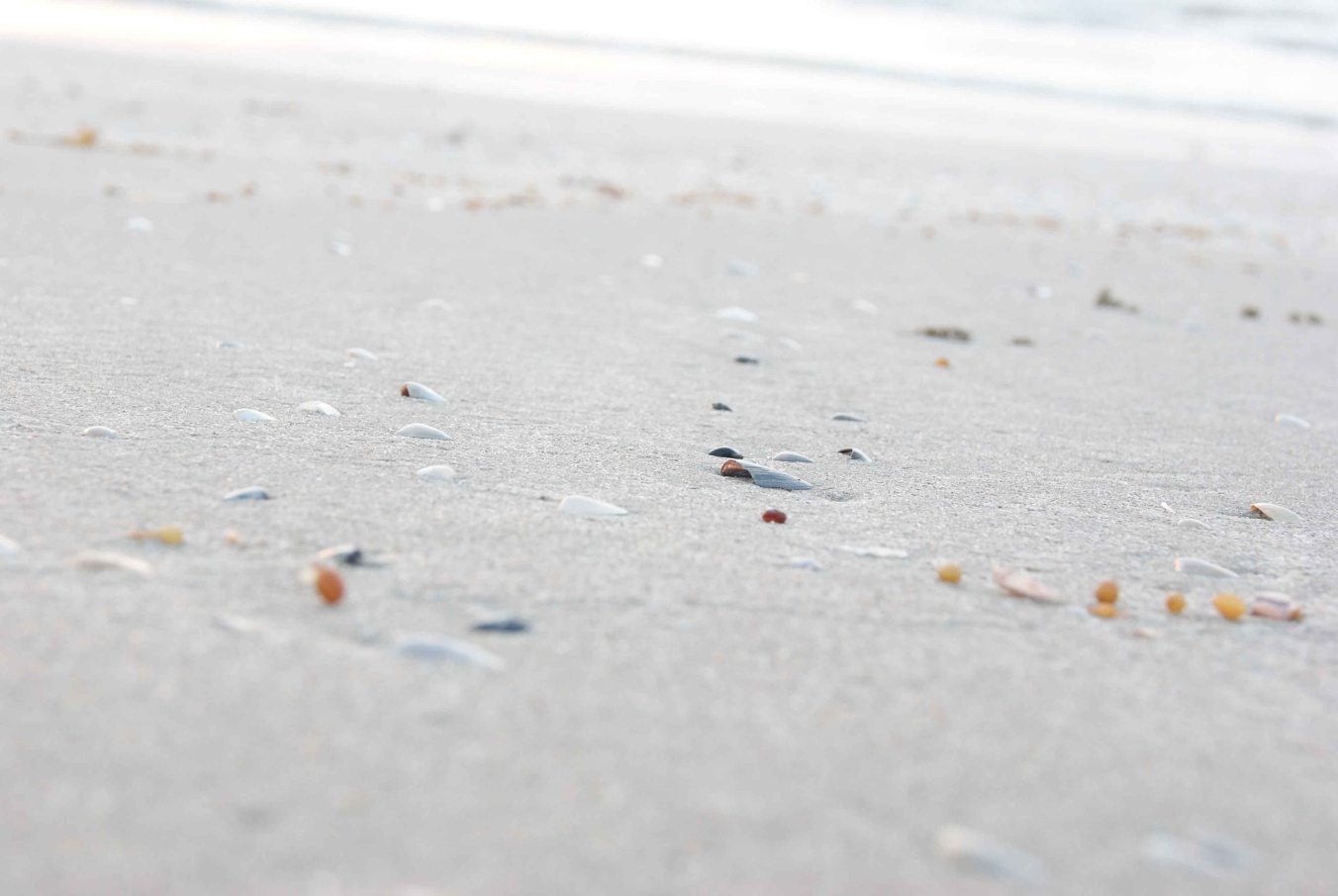 Padre Island National Seashore | Adventures with Rachel