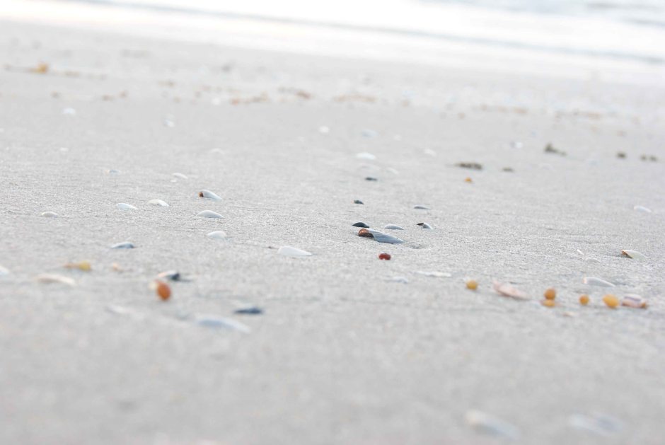 Padre Island National Seashore | Adventures with Rachel